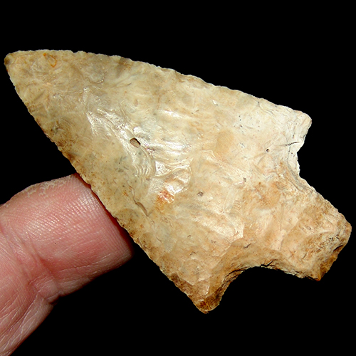 Artifacts Guide- Yellow Newnan